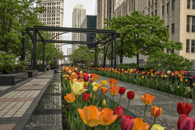 Hubbard Place - Luxury Apartments Chicago | Luxury Living